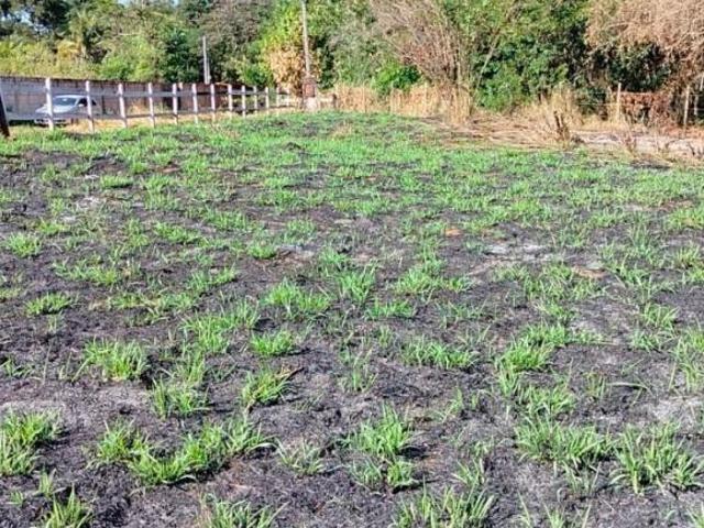 Terreno para venda em Recanto Dos Coqueiros, Igarapé