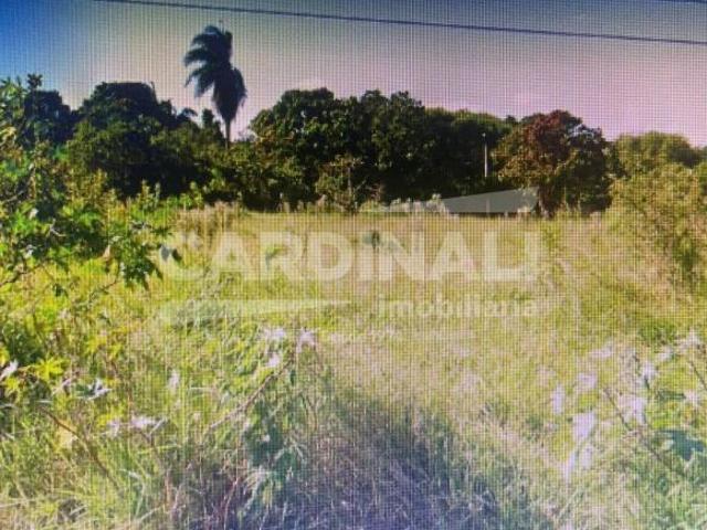 Terreno para venda em Recanto Dos Dourados de 1000.00m²