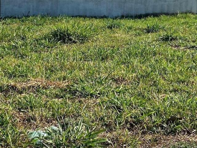 Terreno para venda em Residencial Acapulco de 250.70m²
