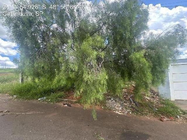 Terreno para venda em Residencial Dos Ipês de 200.00m²