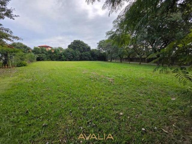 Terreno para venda em Residencial Primavera de 1059.70m²