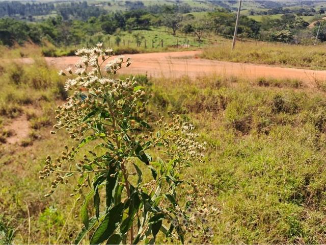 Terreno para venda em Residencial Recanto Itapirinha em Itapira São Paulo de 1000.00m² com 1 Garagem