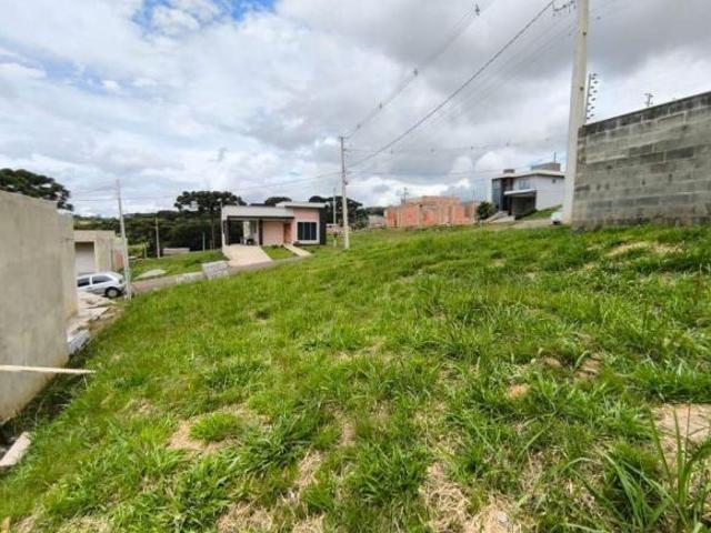Terreno para venda em Rincão de 288.00m²
