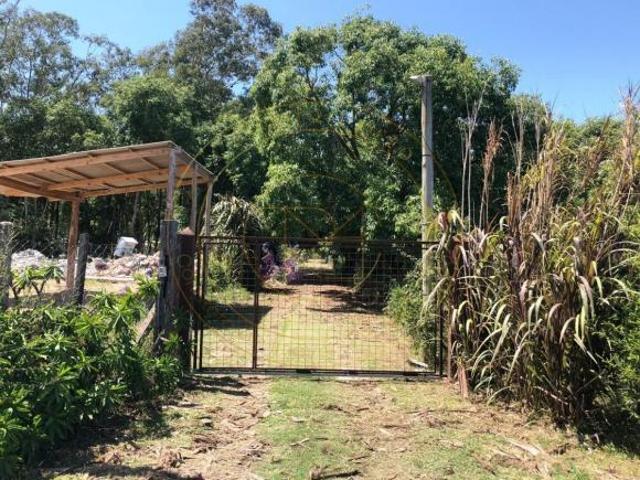Terreno para Venda em Rio Grande, Senandes