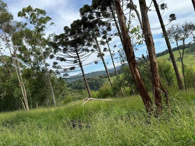 Terreno para Venda em Toledo, Campestre