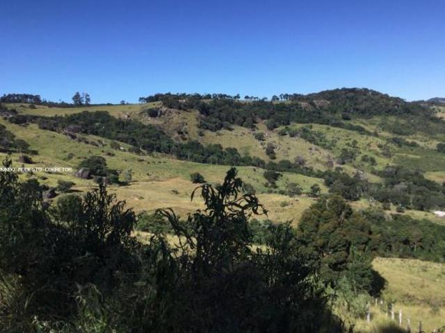 Terreno para Venda em Toledo, Centro