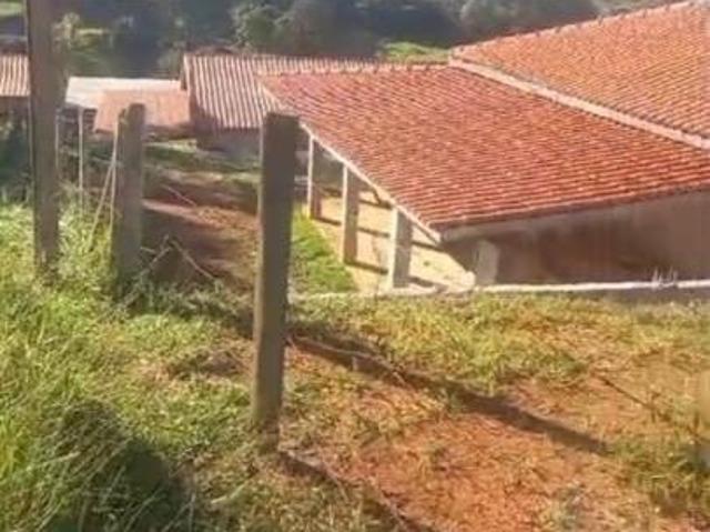Terreno para Venda em Toledo, Pereiras