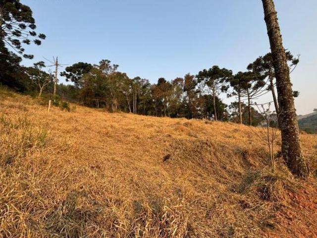 Terreno para Venda em Toledo