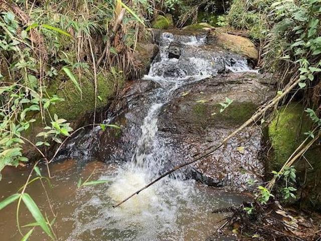 Terreno para venda em Toledo