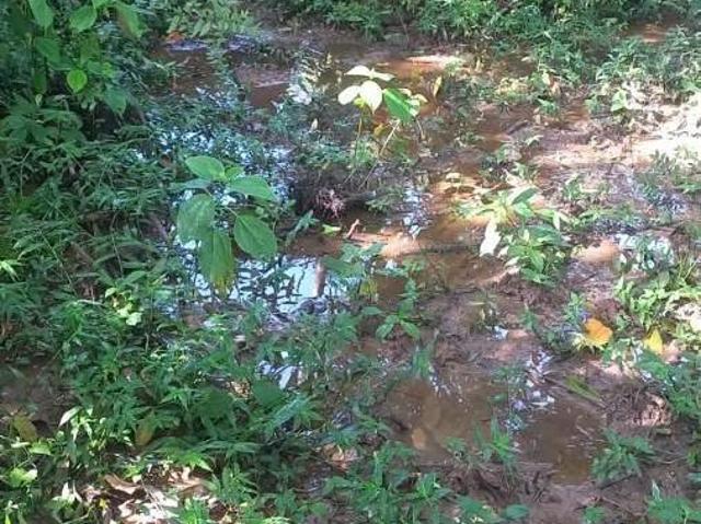 Terreno para Venda em Toledo