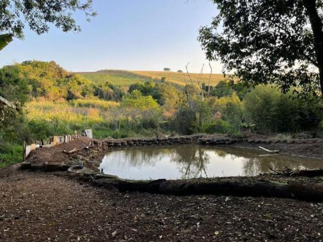 Terreno para Venda em Toledo