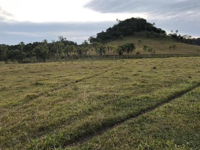 Terreno para Venda em Torres / RS no bairro Jacaré