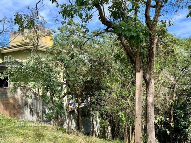 Terreno para venda em Tarumã de 450.00m²