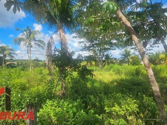 Terreno para venda em Terras De Imoplan de 1368.00m²