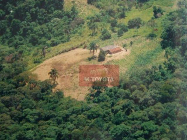 Terreno para venda em Terras De San Nicolau de 291874.00m²