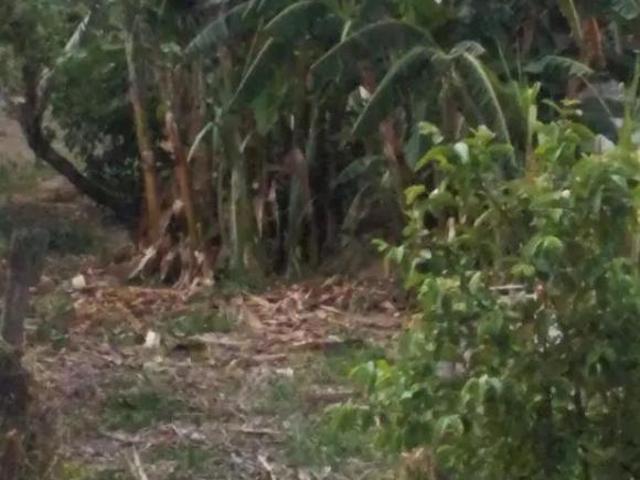 Terreno para venda em Tropical, Contagem