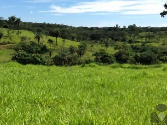 Terreno para venda em Tupã, Contagem