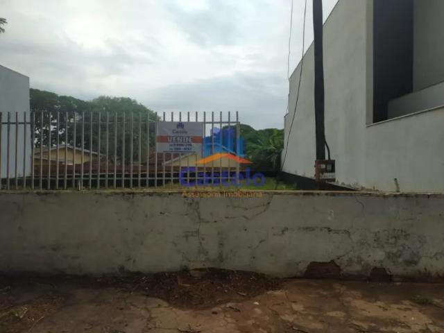 Terreno para Venda em Umuarama / PR no bairro Zona I