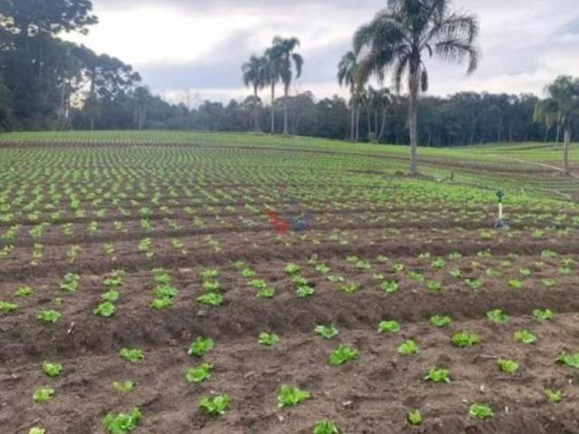 Terreno para venda em Umbará de 21000.00m²