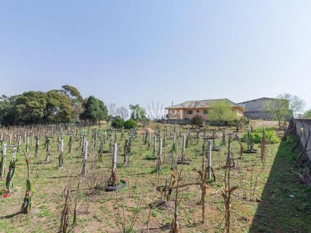 Terreno para venda em Umbará de 3000.00m²