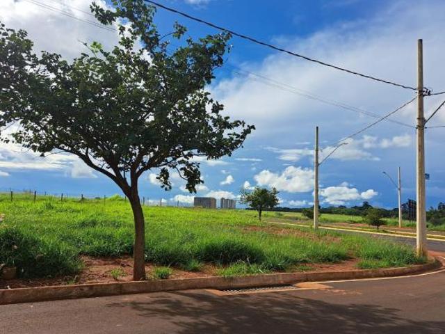 Terreno para Venda em Uberlândia/MG 0 Dorm. 0 m2 Área Útil