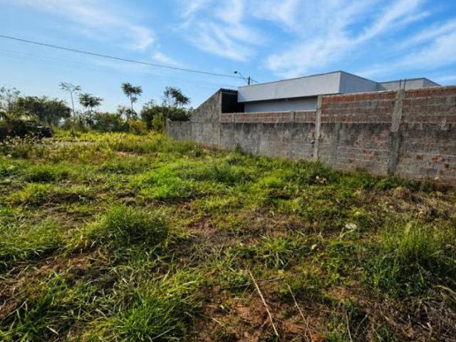 Terreno para Venda em Uchoa, Viva Uchoa 2