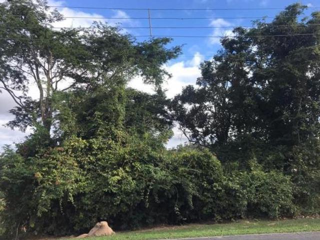 Terreno para venda em Vale das Acácias, Ribeirão das Neves