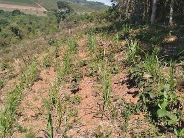 Terreno para venda em Varginha