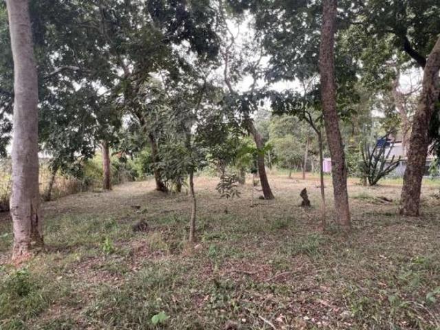 Terreno para Venda em Várzea Grande, Engordador