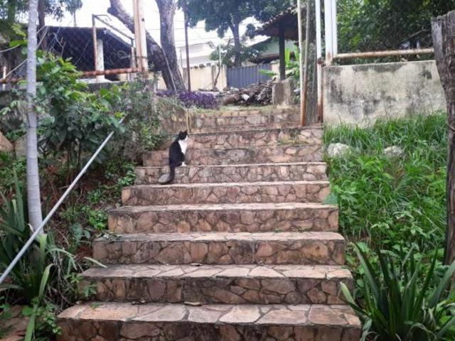 Terreno para venda em Venda Nova, Belo Horizonte