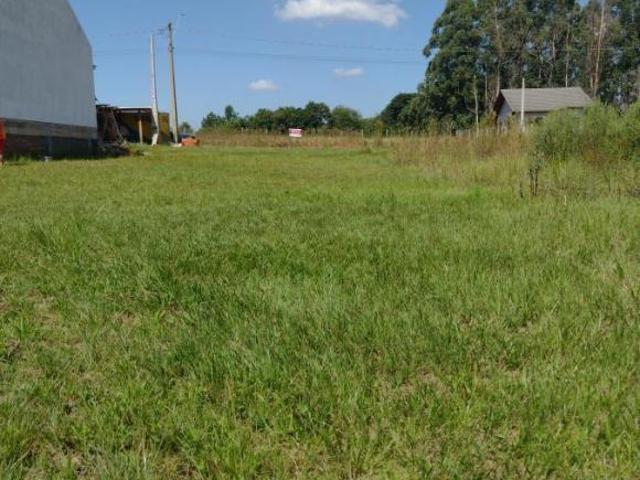Terreno para Venda em Vera Cruz, RECANTO DOS REIS