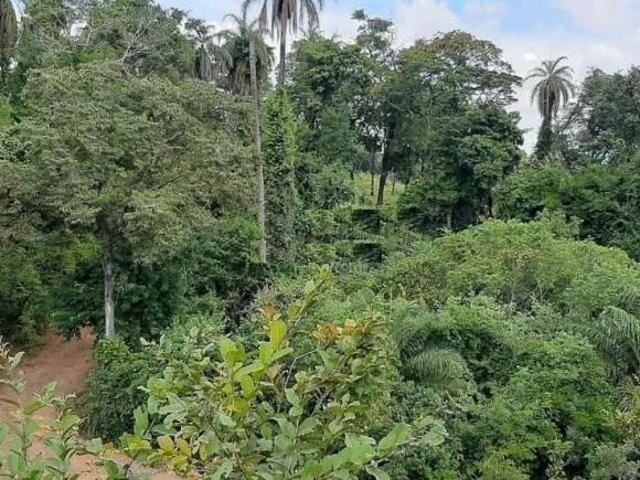 Terreno para venda em Vereda, Ribeirão das Neves