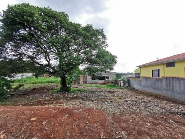 Terreno para venda em Vila Xavier vila Xavier de 651.00m²