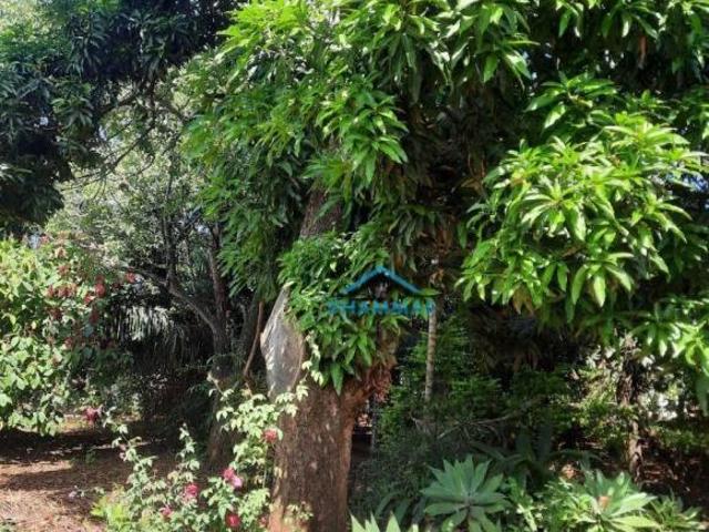 Terreno para venda em Vila Arquelau, Uberaba