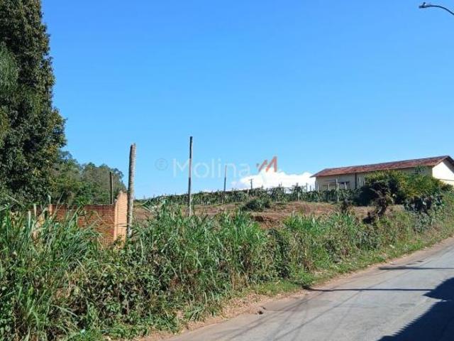 Terreno para venda em Vila Brasileira de 31000.00m²