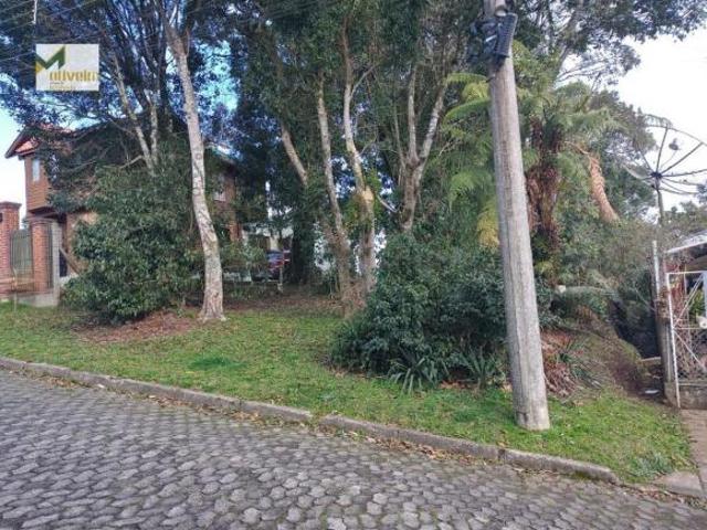 Terreno para Venda em Vila do Cedro Canela RS