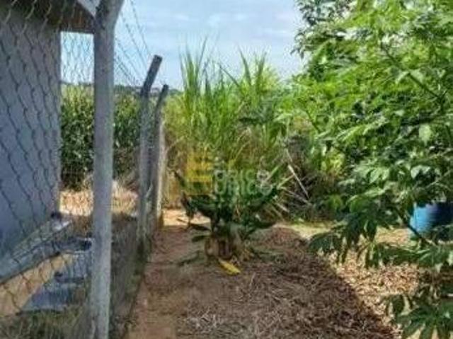 Terreno para venda em Vila do Ipê de 523.97m²