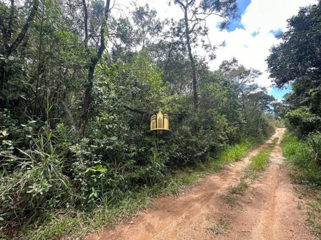 Terreno para venda em Vila Ipê Amarelo, Contagem