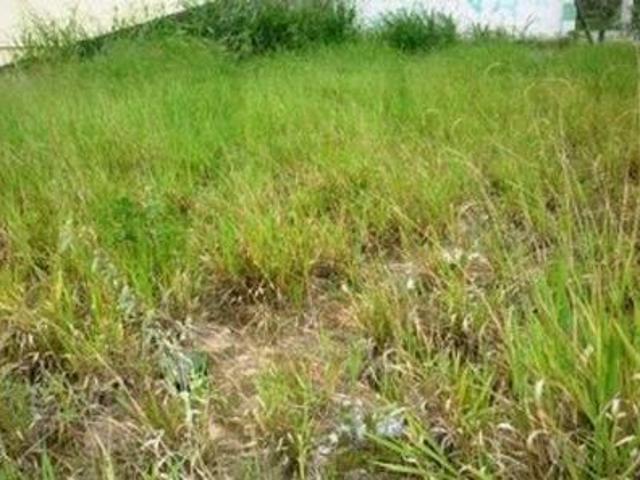 Terreno para venda em Vila Magdalena, Contagem