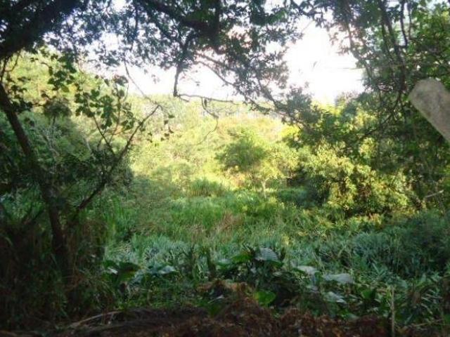 Terreno para venda em Vila Rancho Velho de 4121.00m²