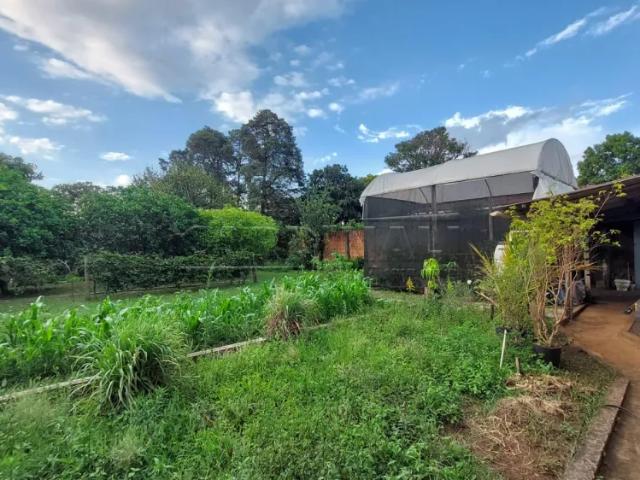 Terreno para venda em Vila Santa Madre Cabrini em São Carlos São Paulo de 600.00m²