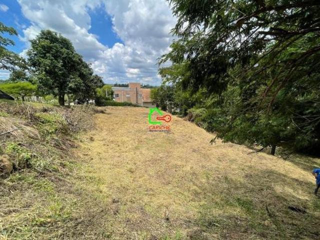 Terreno para venda em Vista Alegre de 2096.00m²