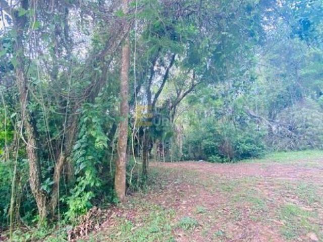 Terreno para venda em Vista Alegre de 3700.00m²