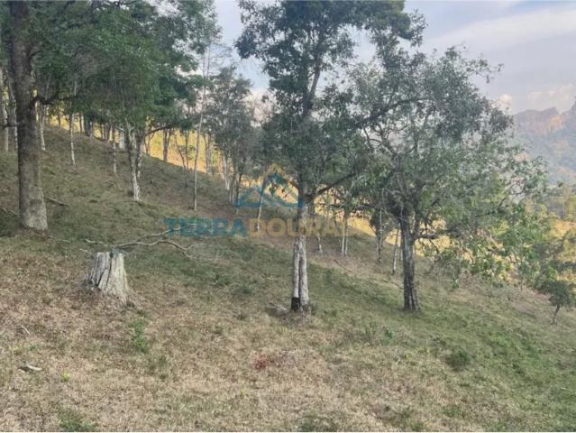 Terreno para venda em Zona Rural São Bento do Sapucaí SP