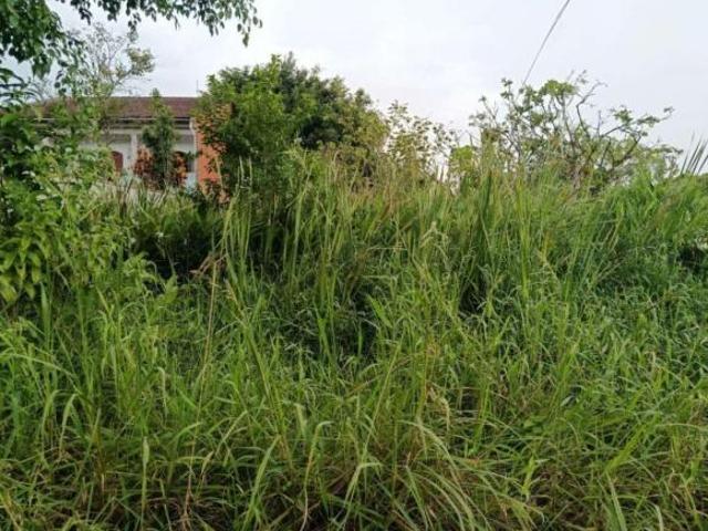 Terreno para Venda, Itanhaém / SP. Aceita entrada de R$ 40.000,00 + parcelas