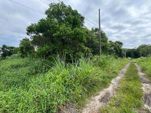 Terreno para Venda, Itanhaém / SP. Área Total de 320,10 m²