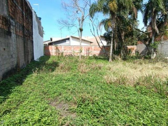Terreno para Venda, Itanhaém / SP bairro Jardim das Palmeiras, área total 255,00 m²