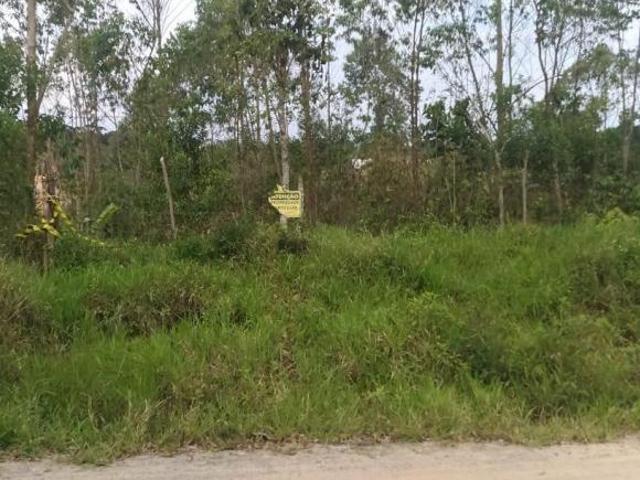 TERRENO para VENDA JARDIM CEREJEIRAS COTIA