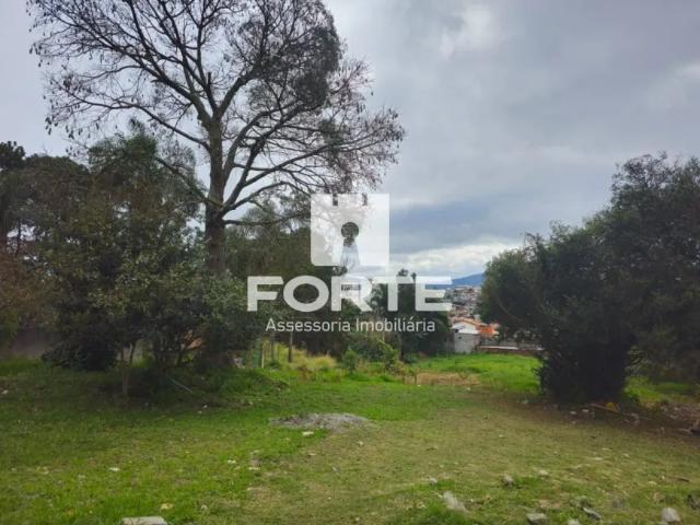 Terreno para venda ou locação na Vila Cintra em Mogi das Cruzes
