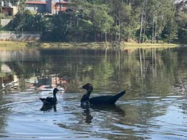 TERRENO PARA VENDA NO CONDOMÍNIO LAGO DO SOL COTIA